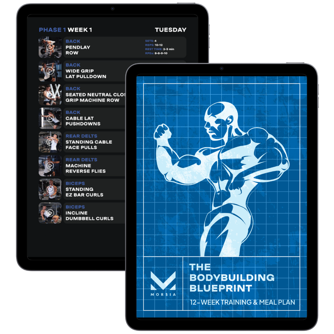 The Bodybuilding Blueprint – Morsia